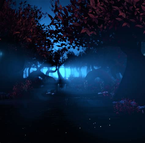 Mohammad Asher Misty Forest