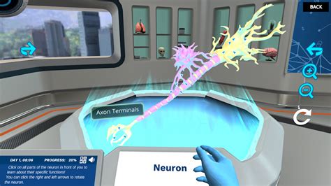 Microanatomy Of A Neuron Virtual Lab Simulation Labster