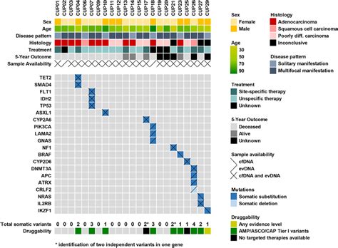 Genomic Alterations Identified In 23 Patients With Cancer Of Unknown
