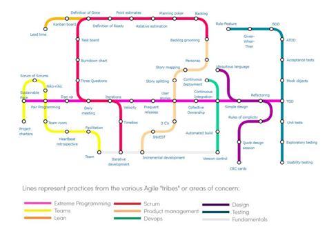 How Structure Process And Rules Make People Free