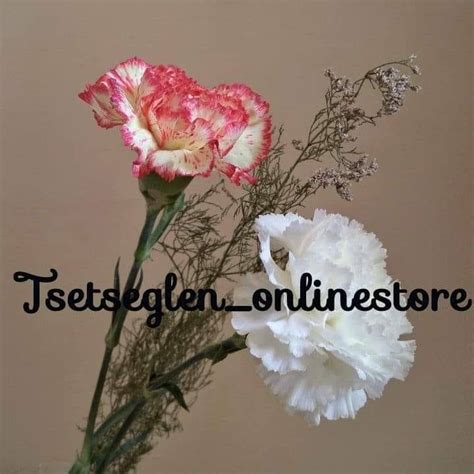 Б Энхбаяр Хэн гэгч шүүгчид аль хэргийг хуваарилах вэ гэдгийг шүүхийн мэдээлэл технологийн