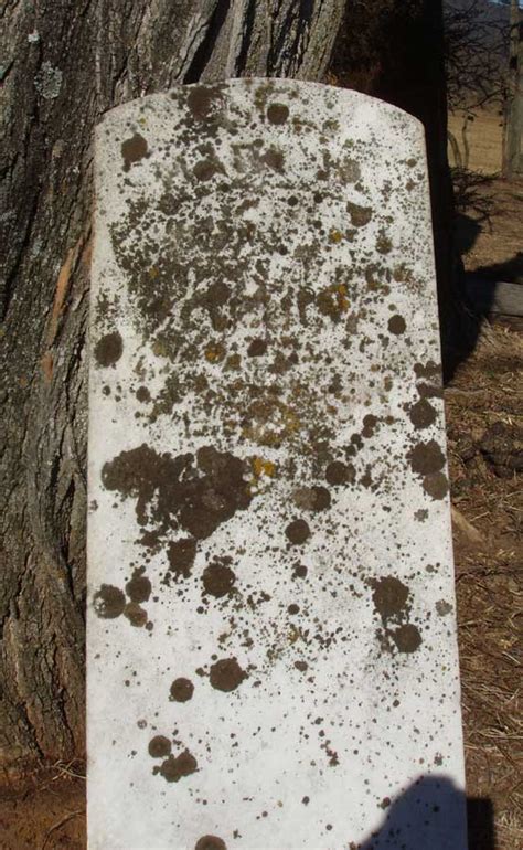 Maphis Hamman Cemetery