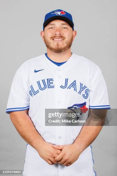 Picture Of Blue Jay Photos And Premium High Res Pictures Getty Images