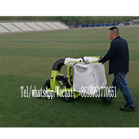 Hand Push Leaf Suction Machine Dry Leaves Wet Leaves Broken Branches Driving Type Leaf Dust