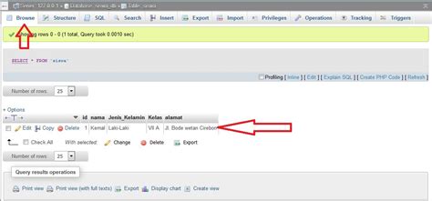 padu mulung download aplikasi gratis dan premium jasa web design dan