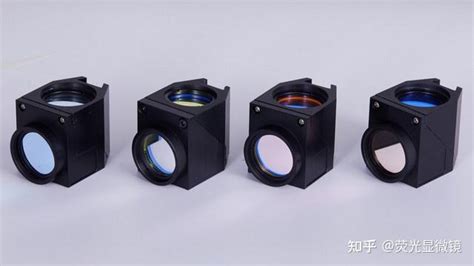 光学显微镜观察方式大盘点：荧光 知乎