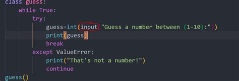 Python Is There Any Way I Can Get This Input Colorized In Vscode