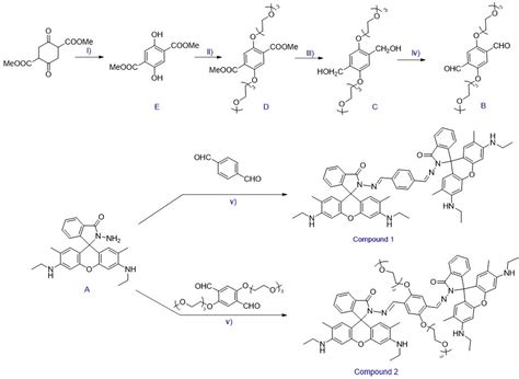 Tailoring Rhodamine Probes Oxyethylene Chains Conjugation And End Substituents In The Quest