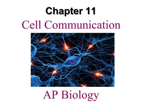Cell Communication And The Types Of Cell Communications Pdf
