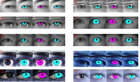 Examples Of Iris Segmentation Result From Casia V4‐distance Download Scientific Diagram