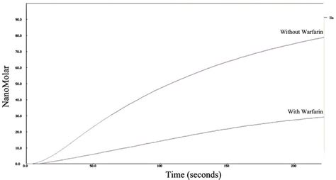 Formation Of Thrombin Factor Iia With And Without Warfarin In Silico