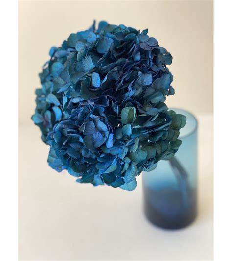 Preserved Hydrangea Lavenderladyparis