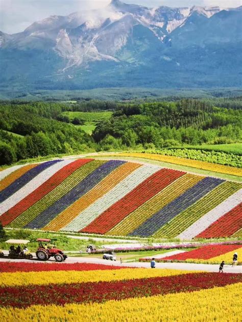 省级科技专项资金经费编制说明 知乎