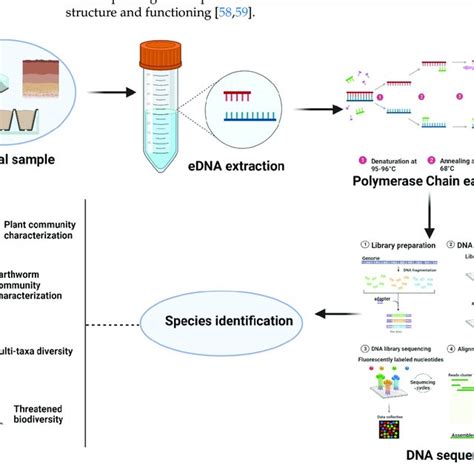Environmental Dna In Terrestrial Ecosystems For Biodiversity