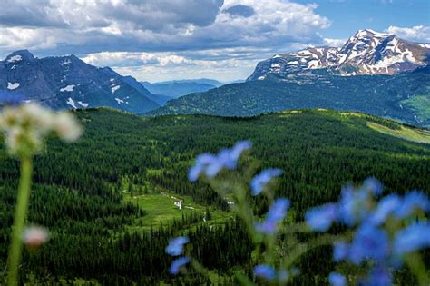 The Best Hikes In Glacier National Park
