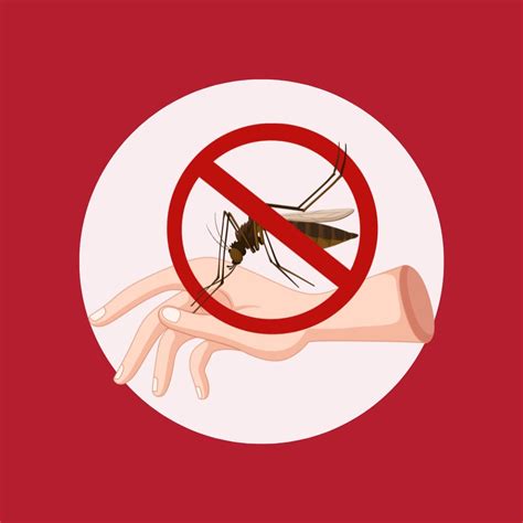 Dengue ¿quÉ Es ¿cÓmo Evitarlo Y Recomendaciones Conred