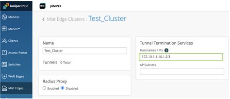 Tunnel Termination Services Mist Juniper Networks