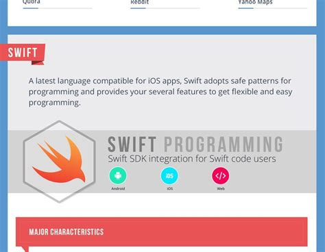 Top Programming Languages For Mobile App Development Infographic Best Infographics