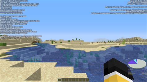 Debug Screen Minecraft Wiki