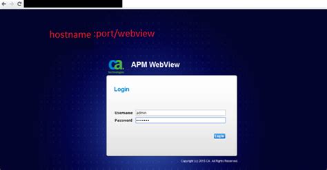 Wily Introscope Installation For Solution Manager Sap Basis Genie