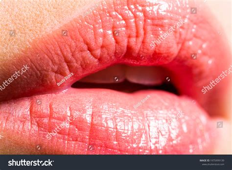 Plump Sexy Full Lips Pink Lipstick Stock Photo Shutterstock