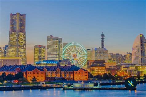 Servicenow Platform Utilization Performance Analytics Usage