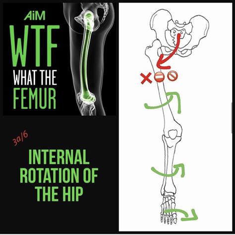 What The Femur Finding Centre