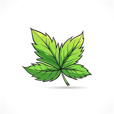 Premium Vector Leaf Vector Leaf Logo Design