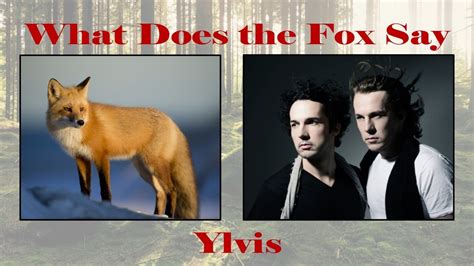 What Does The Fox Say Lyrics Meaning