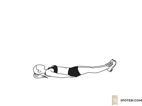 Reverse Crunch Twist Illustrated Exercise Guide