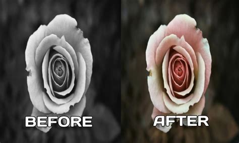 Colorize Your Greyscale Photos By Goldfishloud Fiverr