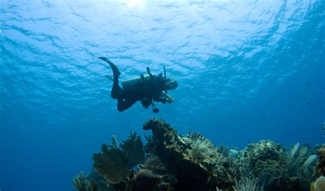 Grand Cayman Scuba Diving Trip Sense Tripcentral Ca