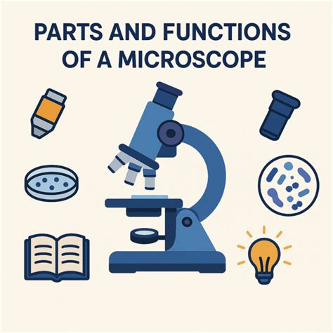 What Are The Key Functions Of A Diaphragm Inside A Microscope