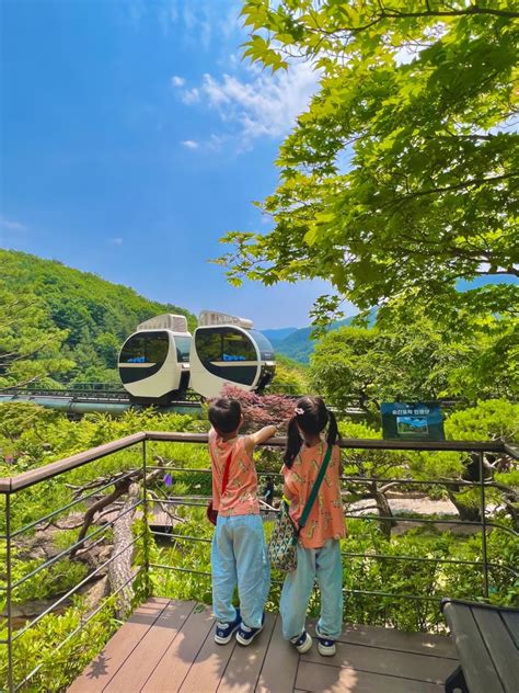 곤지암 화담숲 예약방법 모노레일 여름 수국축제중 경기도 광주 가볼만한곳 네이버 블로그