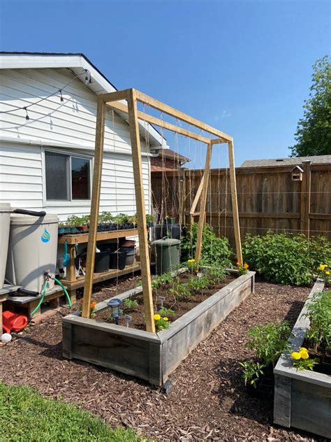 Tomato Trellis Diy Tomato Trellis System Instant Download Etsy