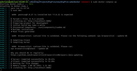 api issues · issue 119 · rubynor bigfive web · github