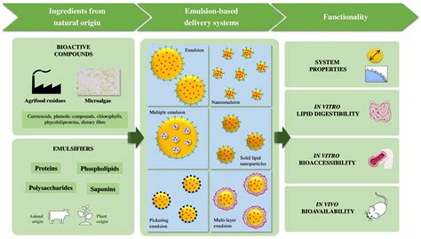 Emulsion Based Delivery Systems To Enhance The Functionality Of