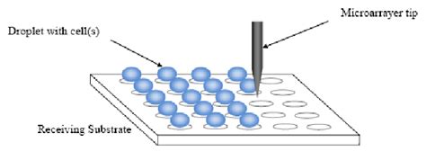 Schematic Of The Microarray Spotting Technique Adapted From 67