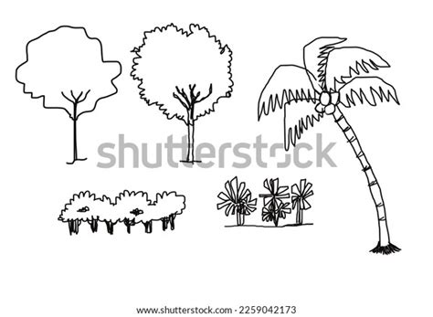 Trees Shrubs Plants Elevation Landscape Design Stock Illustration
