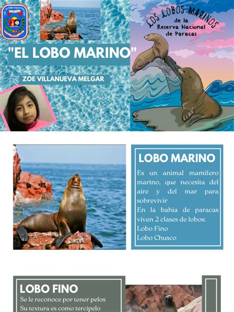 El Lobo Marino Pdf