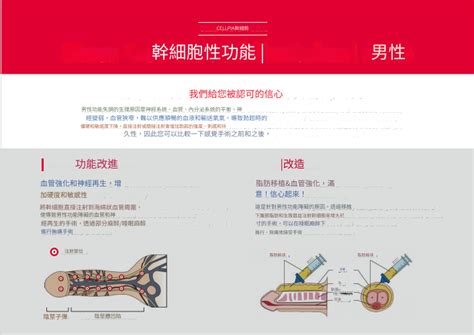 SEXUAL FUNCTION We Made Medical