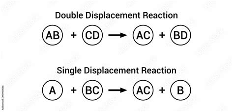 Single And Double Displacement Reaction In Chemistry Stock Vector