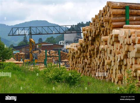 Black Forest Baden Wuerttemberg Upper Black Forest Dold Holzwerke Gmbh Buchenbach Logs