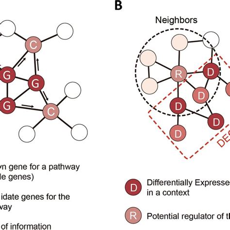 schematic diagrams of network based gene prioritization algorithms