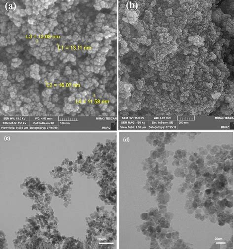 Fesem Image Of Fe3o4sio2 Aptms Sal Pd Nc A B And Tem Image Of