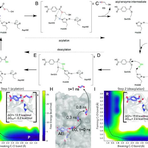 Pdf Characterization And Engineering Of A Two Enzyme System For Plastics Depolymerization