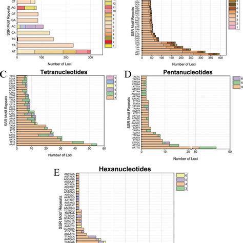 The Distribution And Frequency Of Microsatellite Motifs Of Download Scientific Diagram