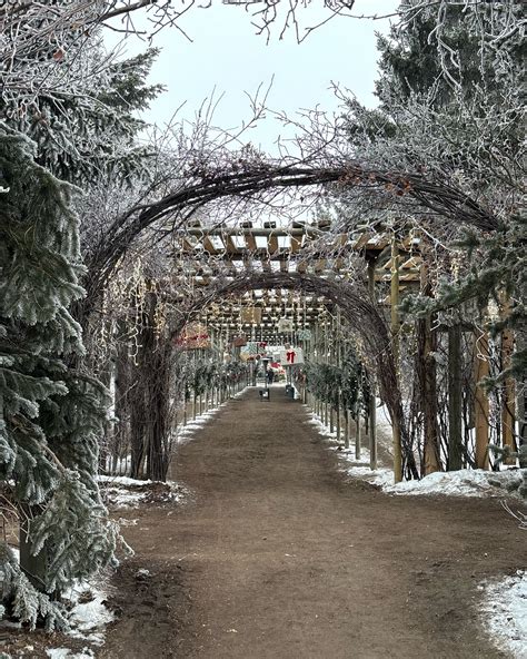 Saskatoon Farm Christmas Market Vendor Applications Are Live Its