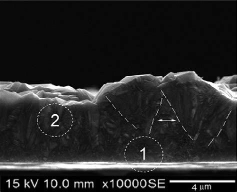 Table 1 From Fibroblast And Pre Osteoblast Cell Adhesive Behavior On