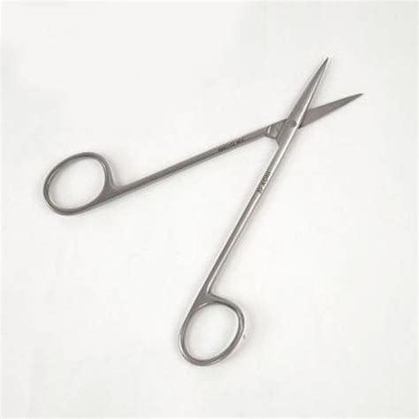 Nouvelle Ciseaux Dissection P R Nerf Droit 16cm à Vendre à Centre D